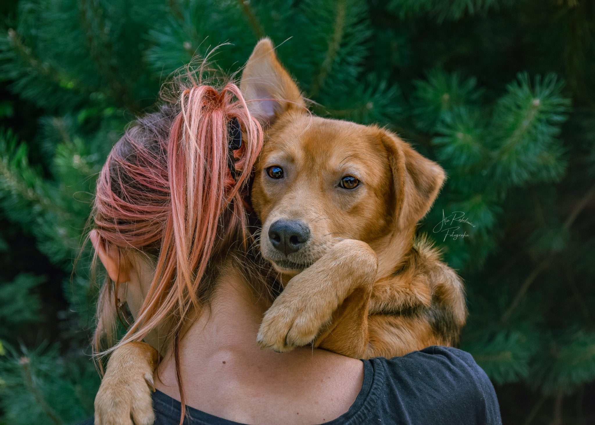 Cheetos- Shy Pup, Growing up in the Shelter | Poland Pet Adoption